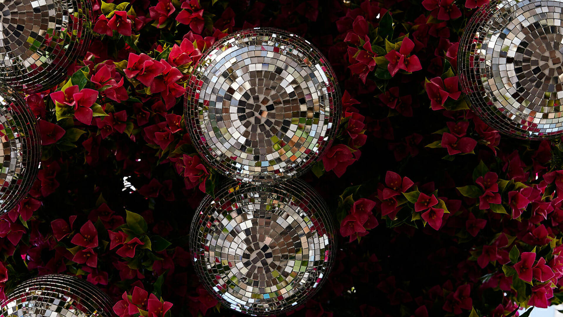 Harlow's Greek-inspired Disco Island is curing our winter blues