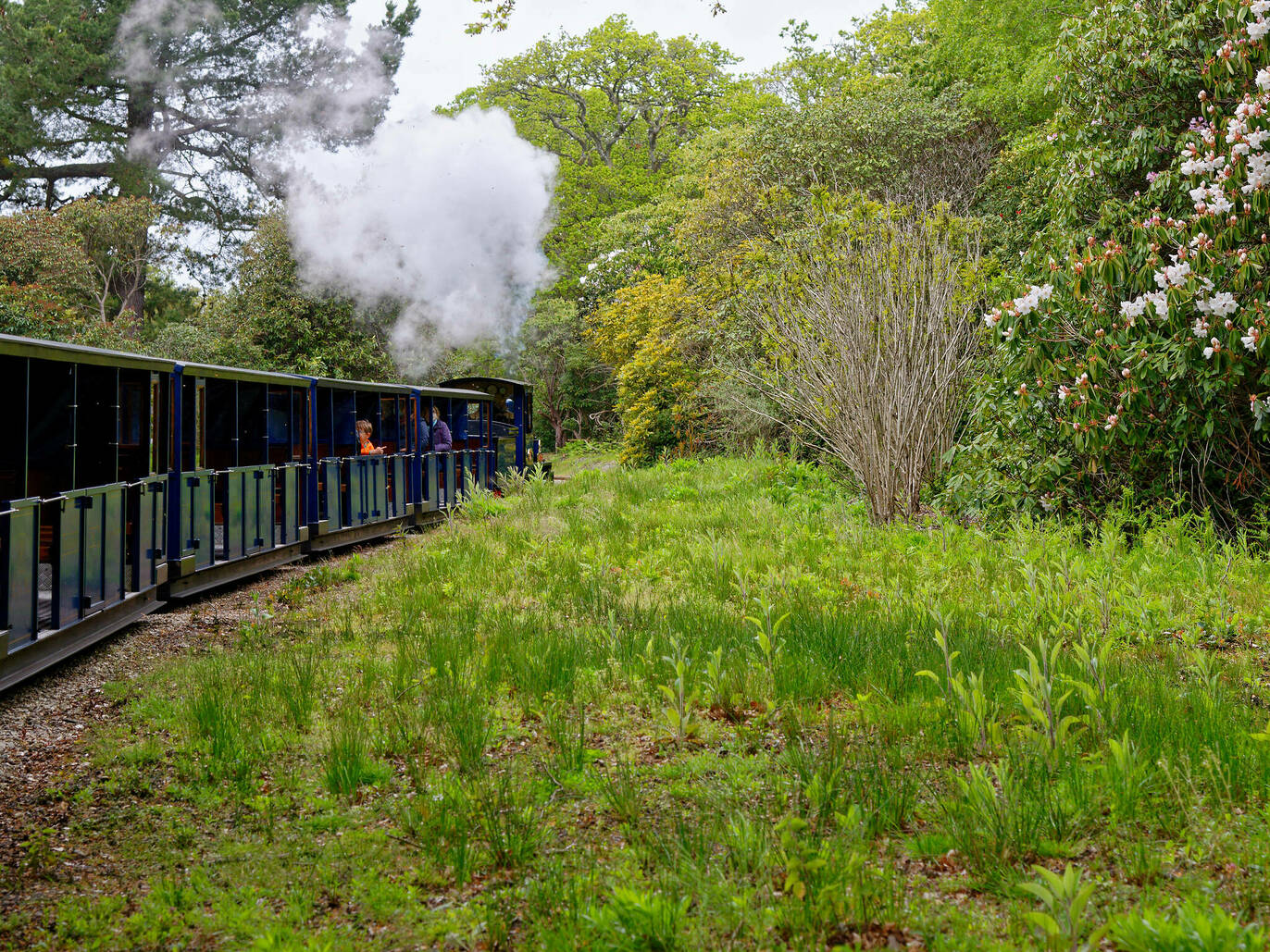 9 Best Things To Do in the New Forest in 2024
