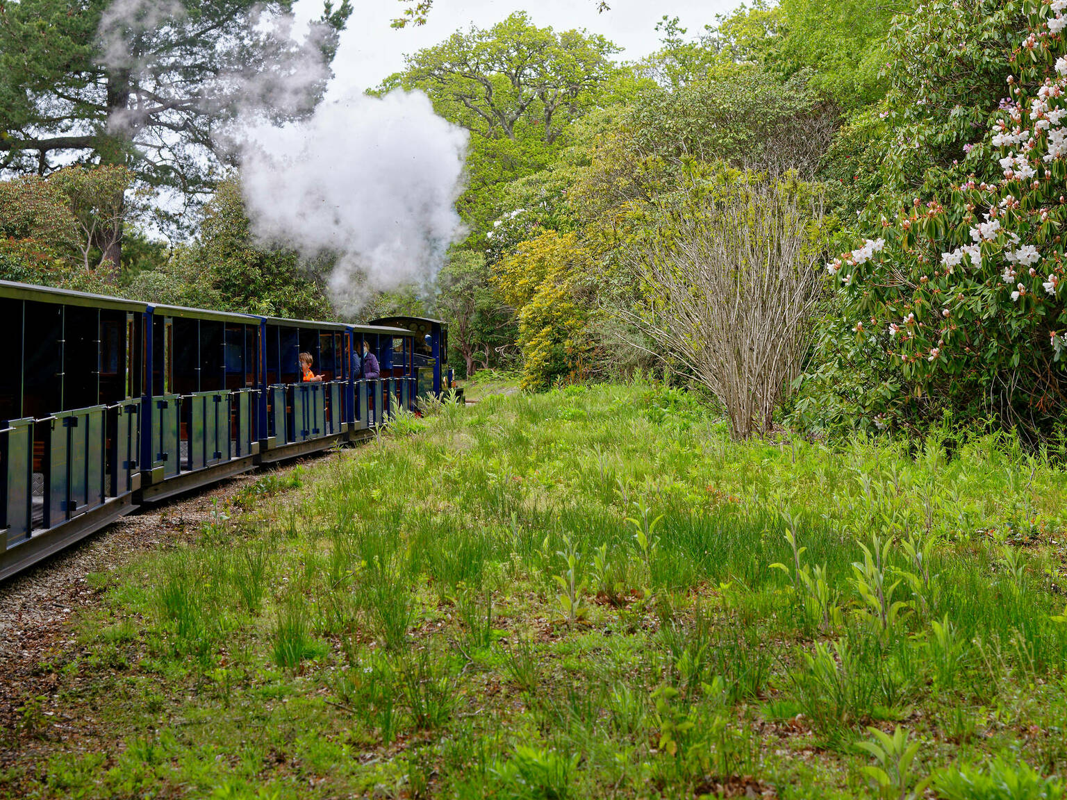 9 Best Things To Do in the New Forest in 2024