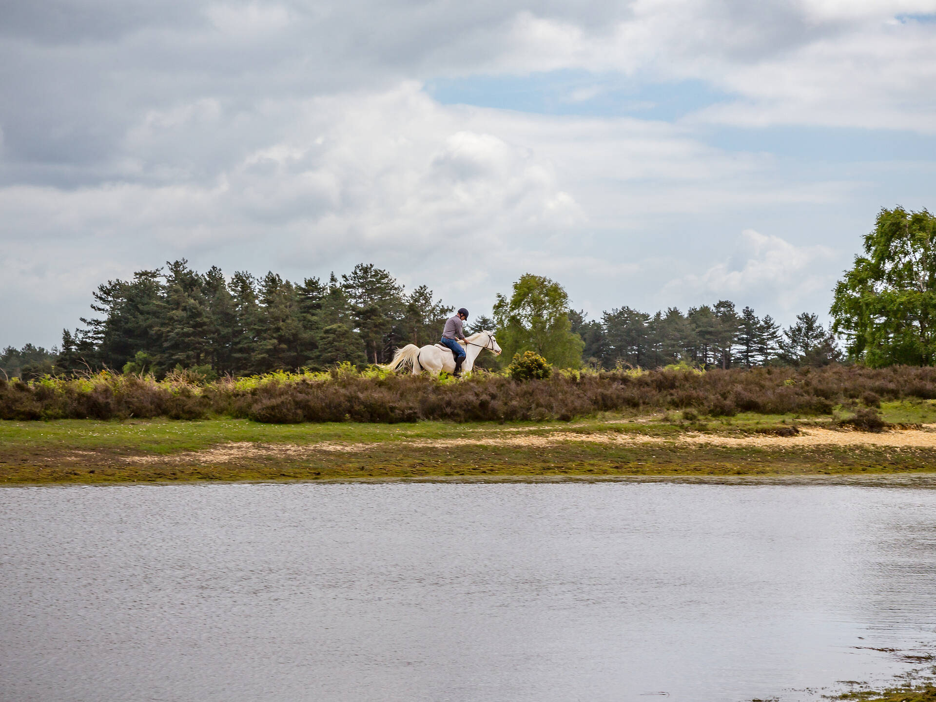 9 Best Things To Do in the New Forest in 2024