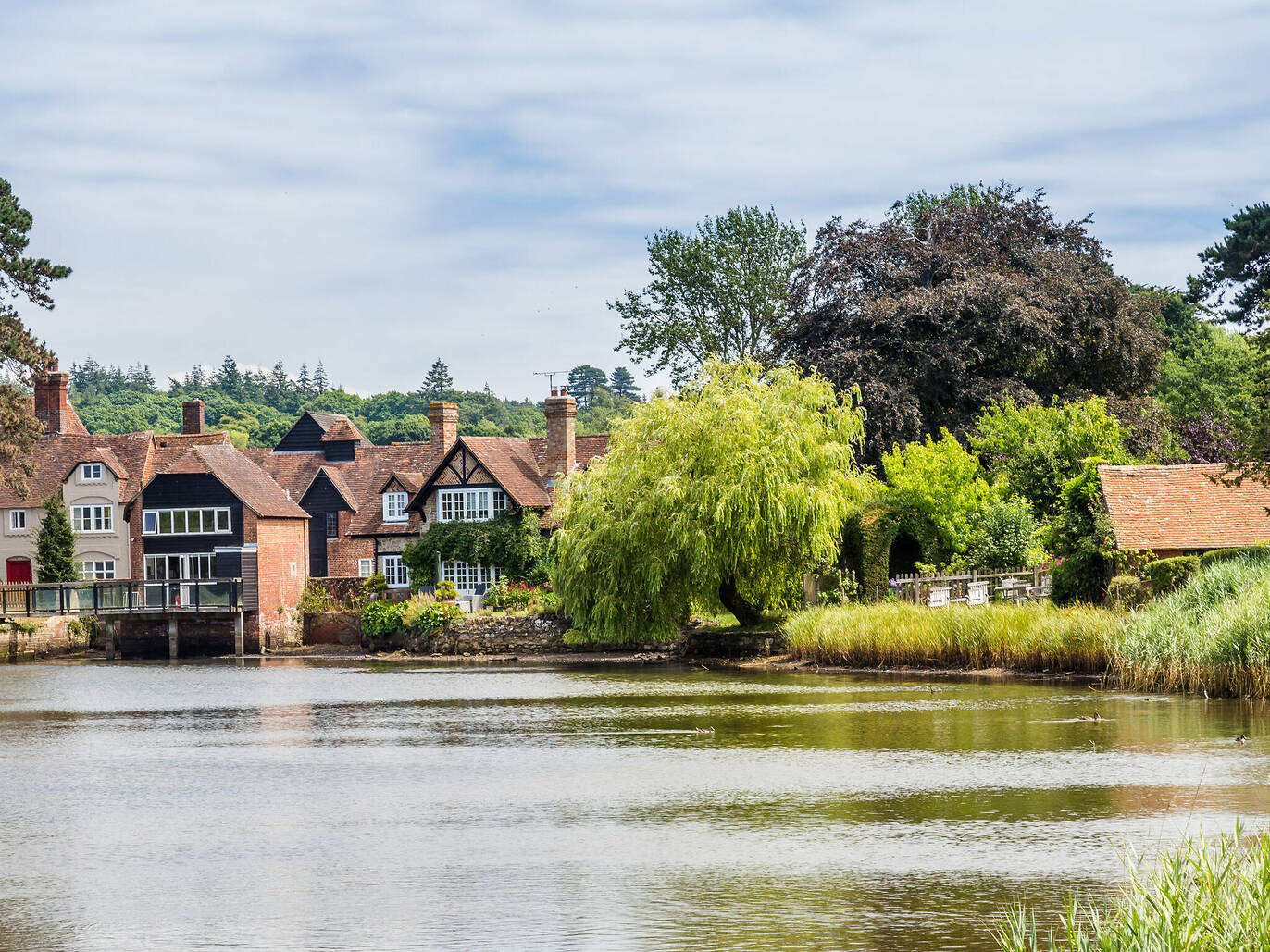 9 Best Things To Do in the New Forest in 2024