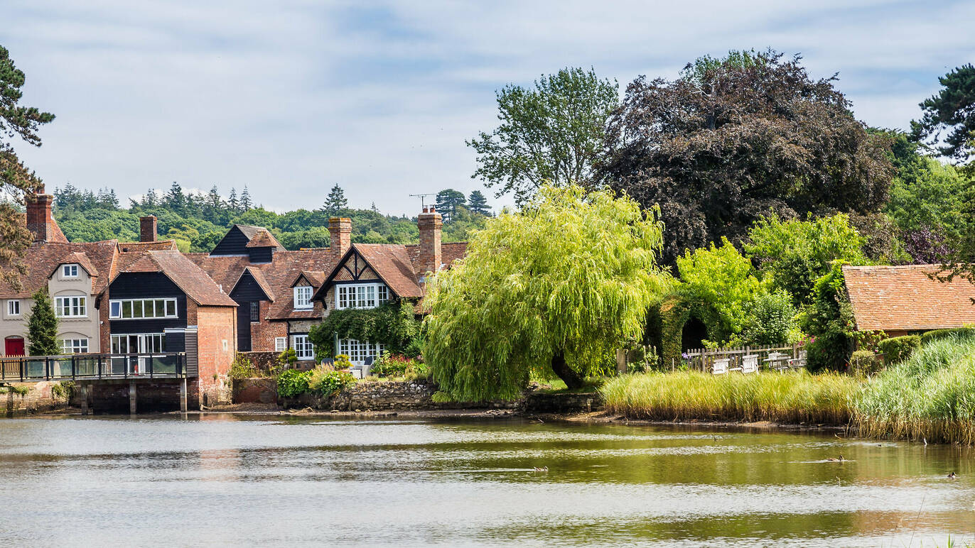 9 Best Things To Do in the New Forest in 2024