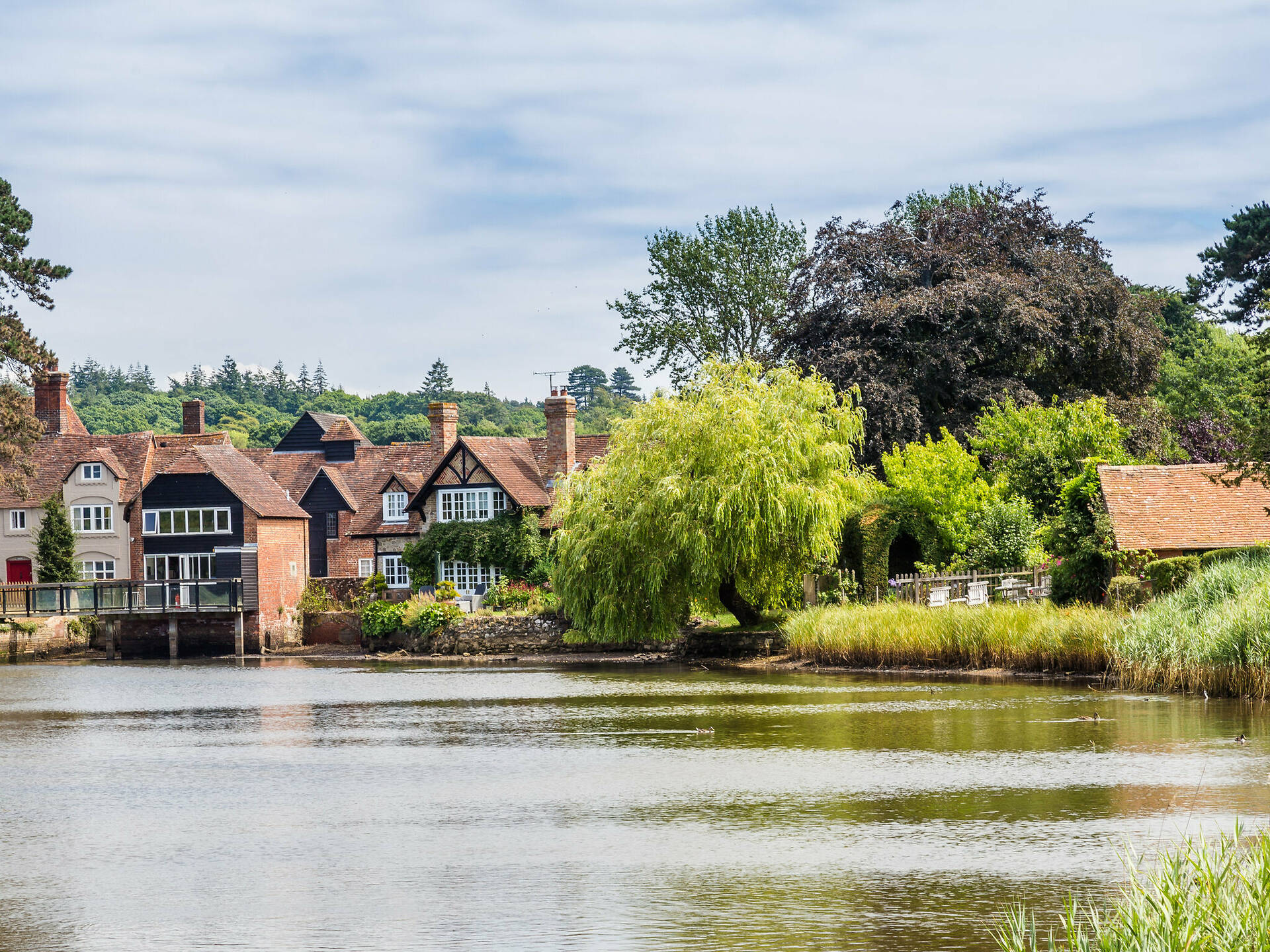 9 Best Things To Do in the New Forest in 2024