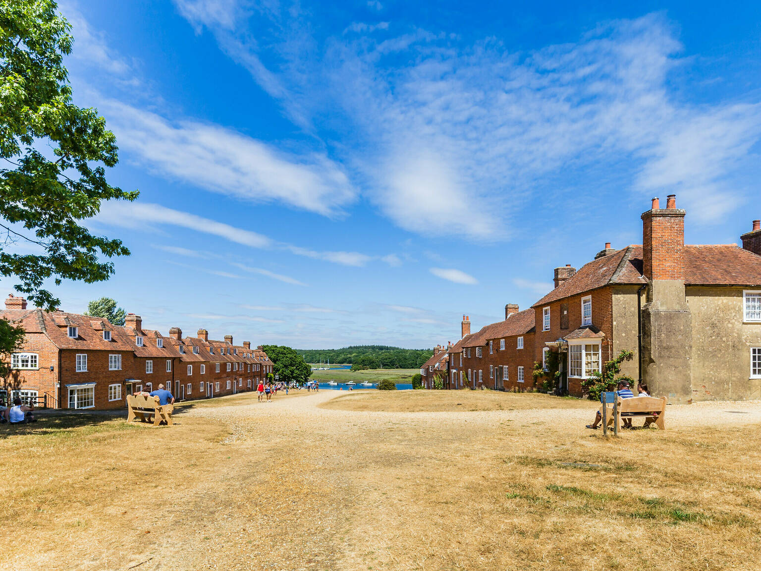 9 Best Things To Do in the New Forest in 2024