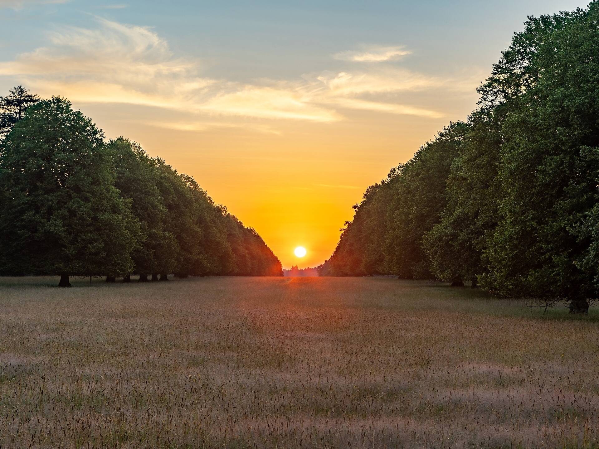 10 Best Things To Do in the New Forest in 2023