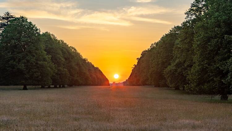 10 Best Things To Do in the New Forest in 2023