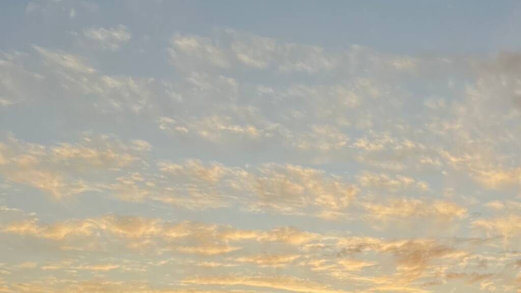 Guide to Narooma - How to spend a weekend in the oyster haven