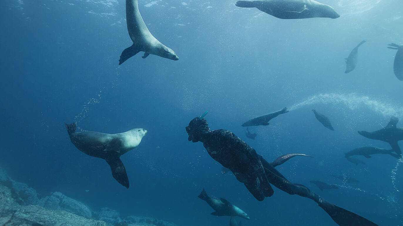 Guide to Narooma - How to spend a weekend in the oyster haven