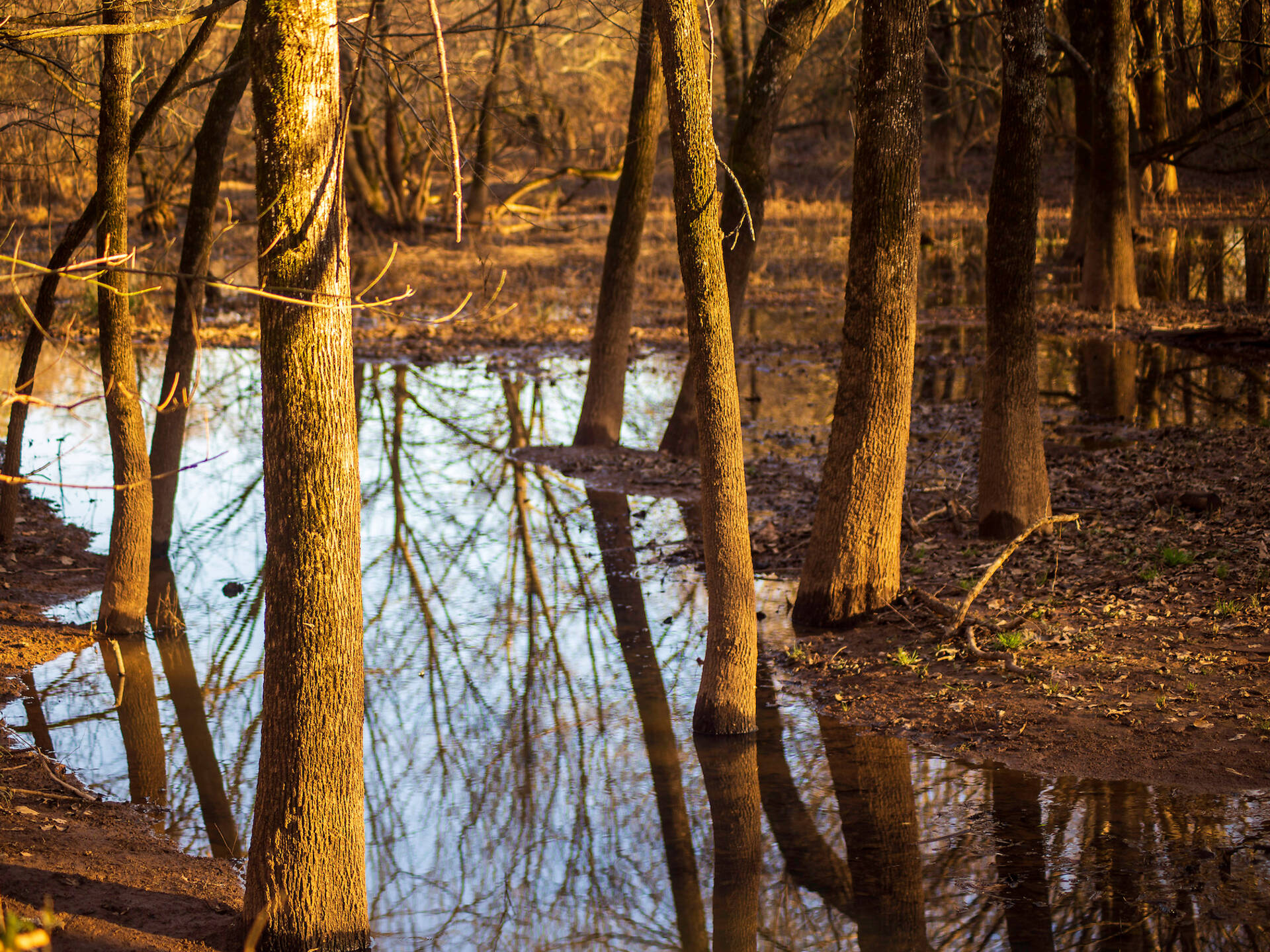 11 Best Parks in Charlotte, North Carolina