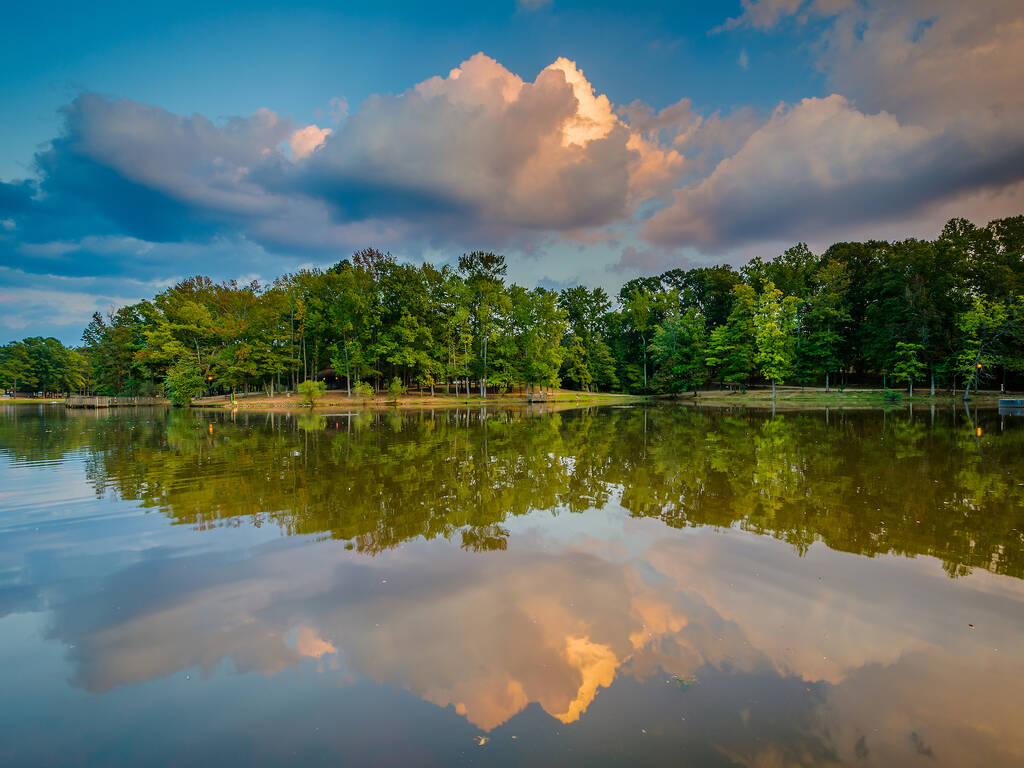 11 Best Parks in Charlotte, North Carolina