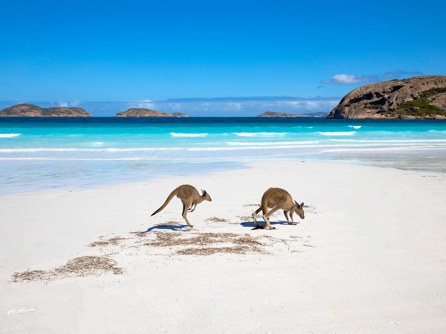 The 20 best beaches in Australia for swimming, surfing and sunbathing