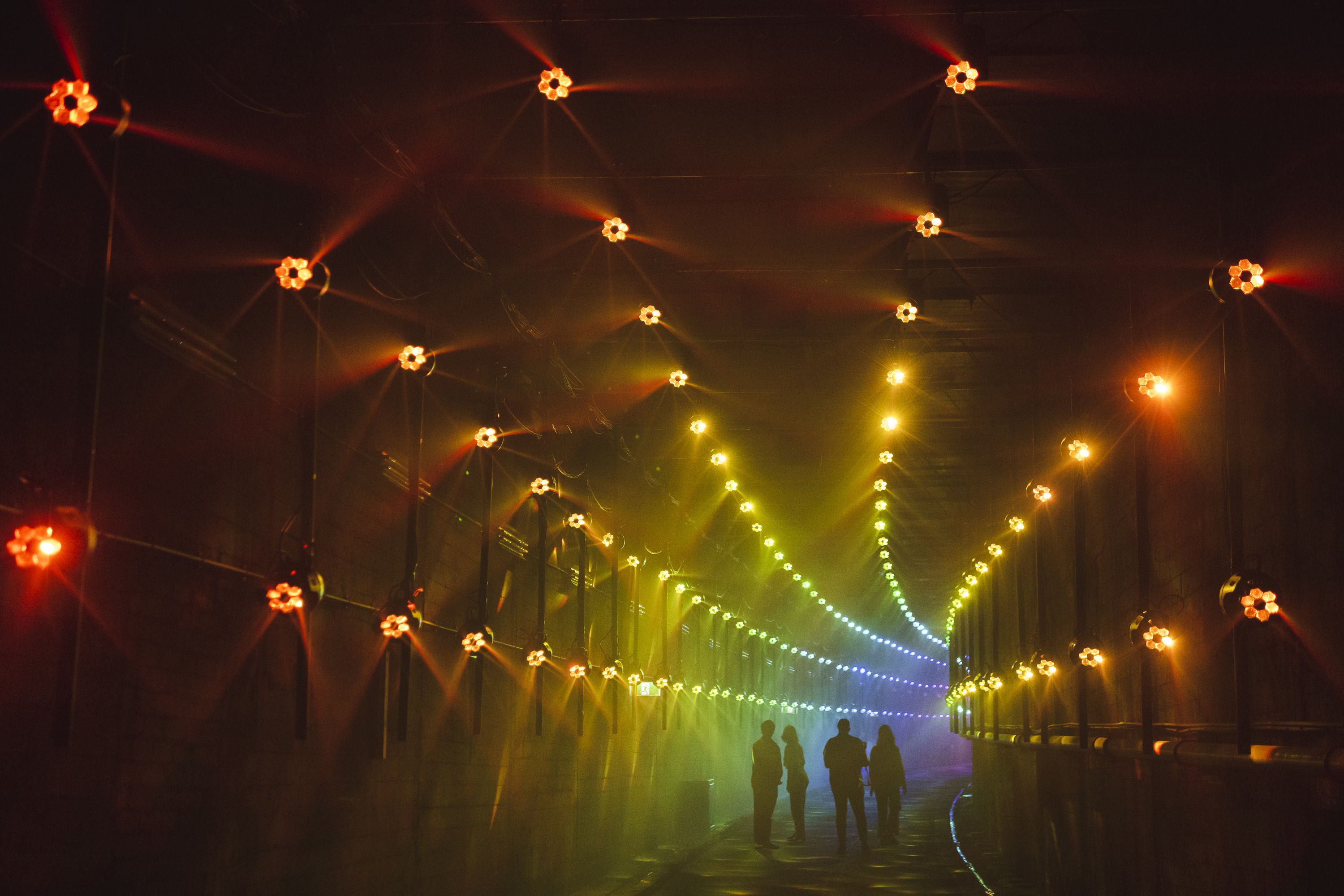 Sydney Vivid 2023 | The best things to see