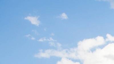 26 best restaurants and bars in Circular Quay