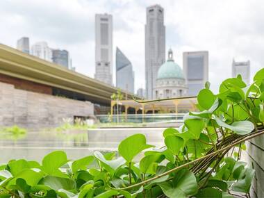 12 Best Rooftop Gardens in Singapore With Views Of The City