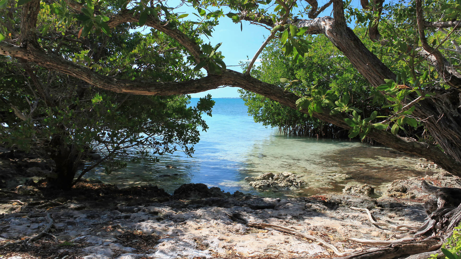 Las mejores playas de Miami para disfrutar su paraíso costero