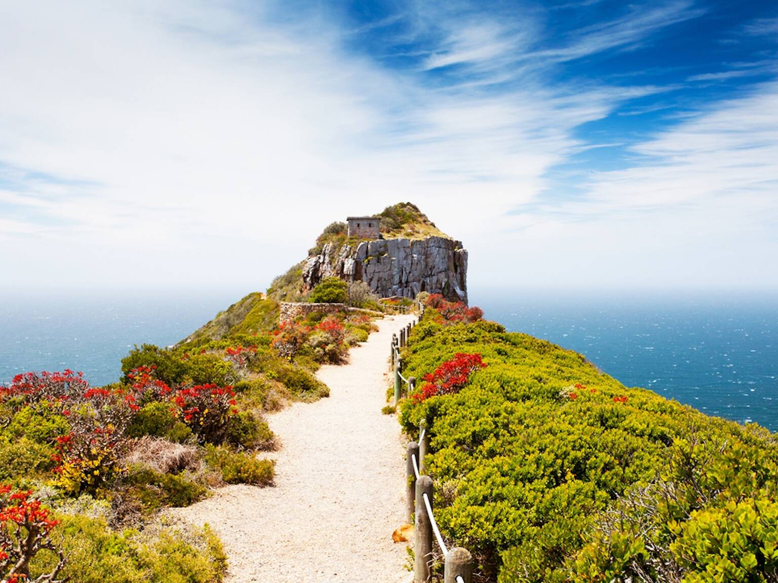 The 45 Best Things To Do in Cape Town