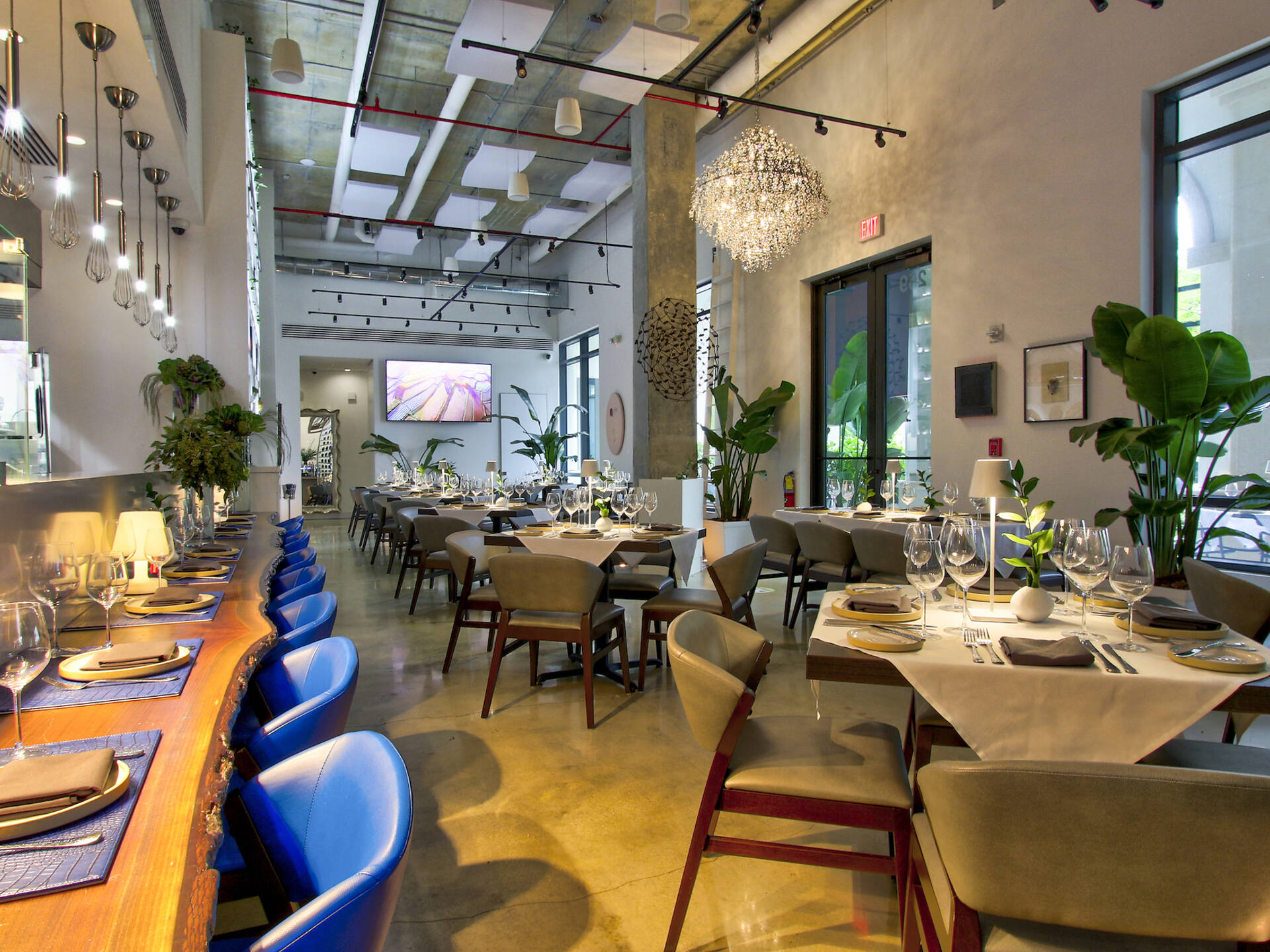 25 Best Best Restaurants in Coral Gables, Miami's emerging foodie hub
