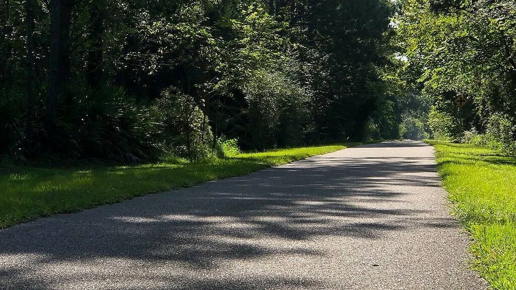 12 Best Rail Trails in the U.S. for a Scenic Outdoor Adventure