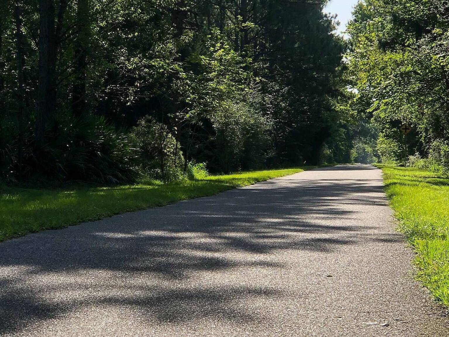 12 Best Rail Trails in the U.S. for a Scenic Outdoor Adventure