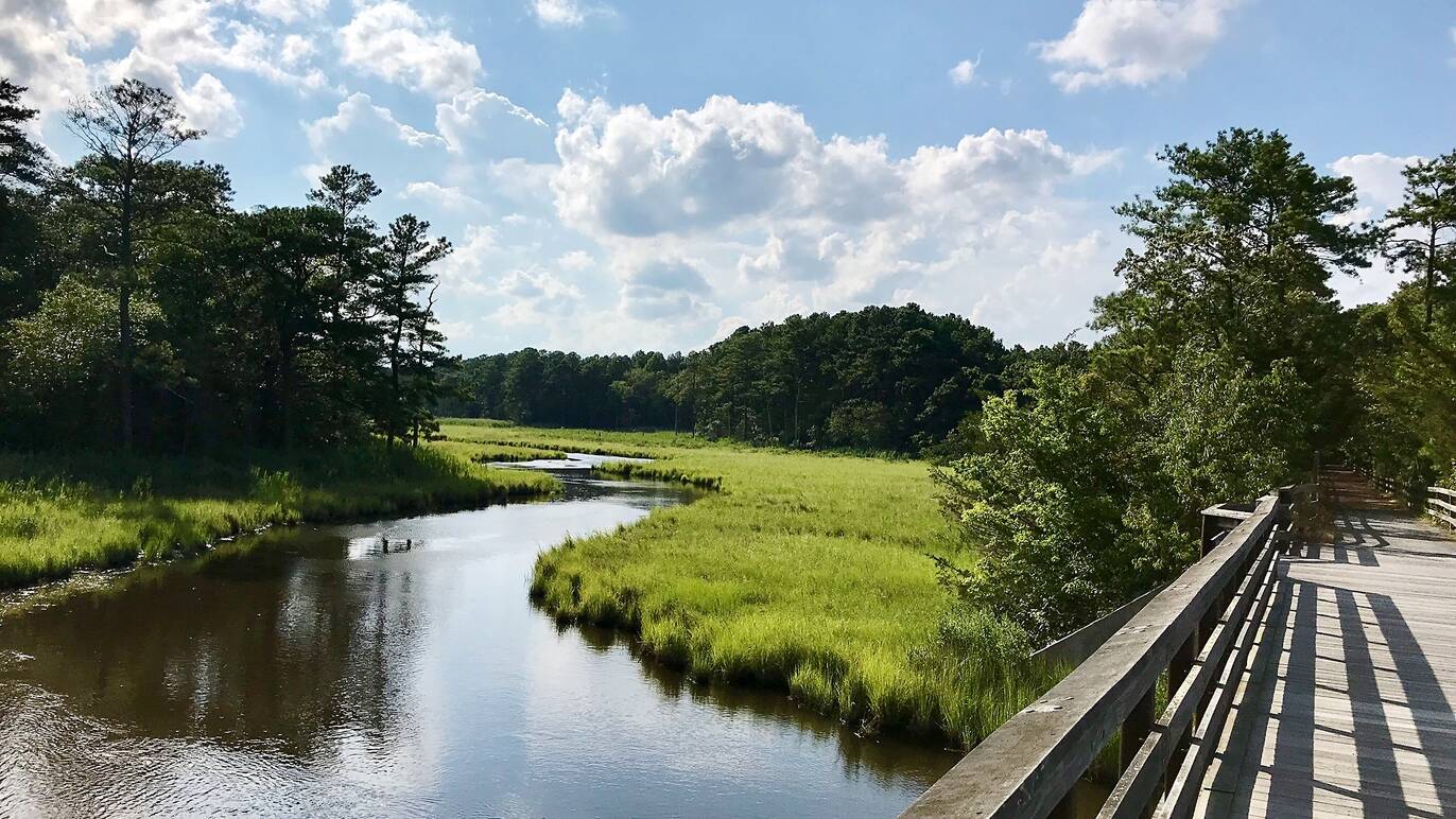 12 Best Rail Trails in the U.S. for a Scenic Outdoor Adventure
