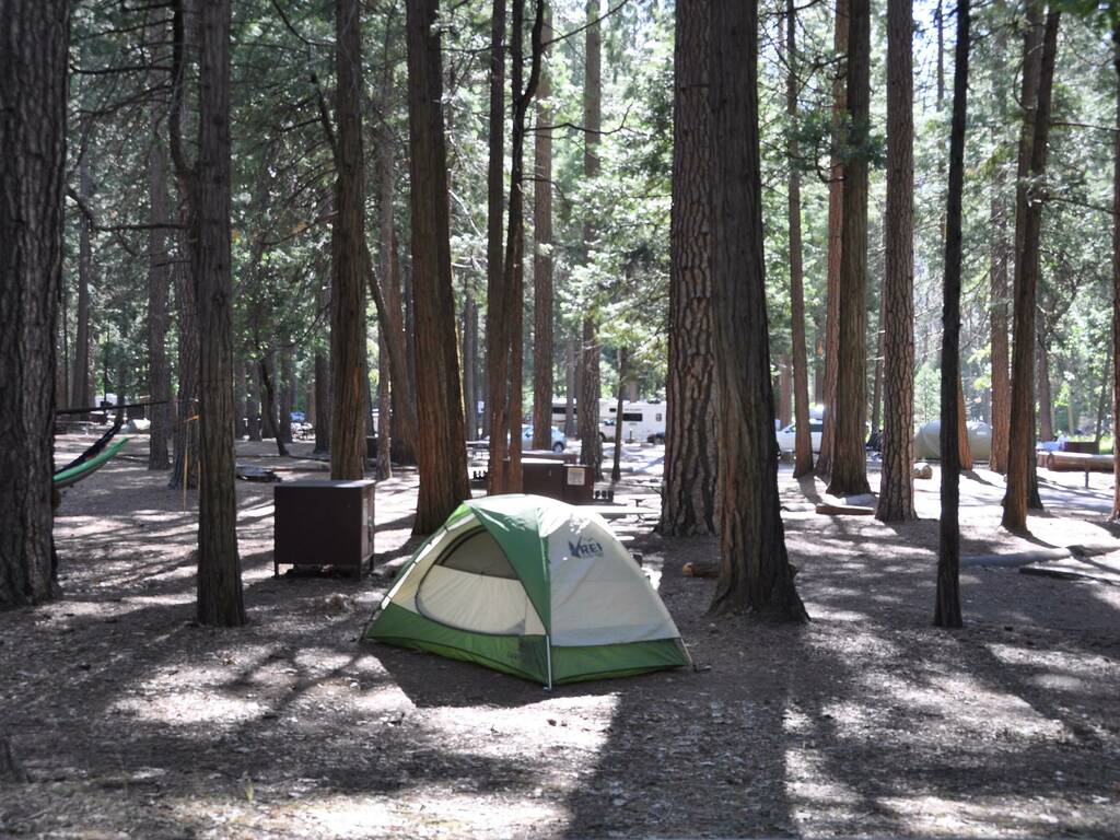 13 Best Campgrounds at Yosemite National Park for Stellar Camping