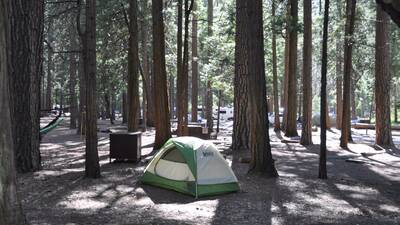 13 Best Campgrounds at Yosemite National Park for Stellar Camping