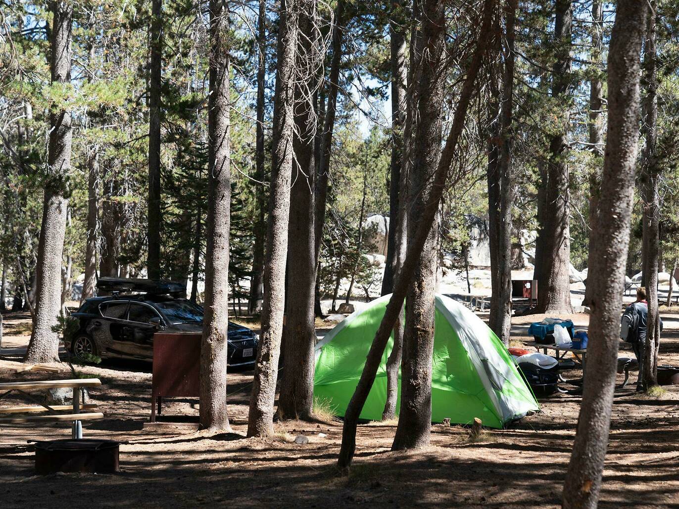 13 Best Campgrounds at Yosemite National Park for Stellar Camping