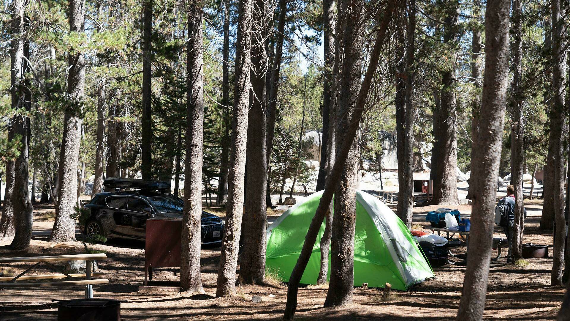 13 Best Campgrounds at Yosemite National Park for Stellar Camping