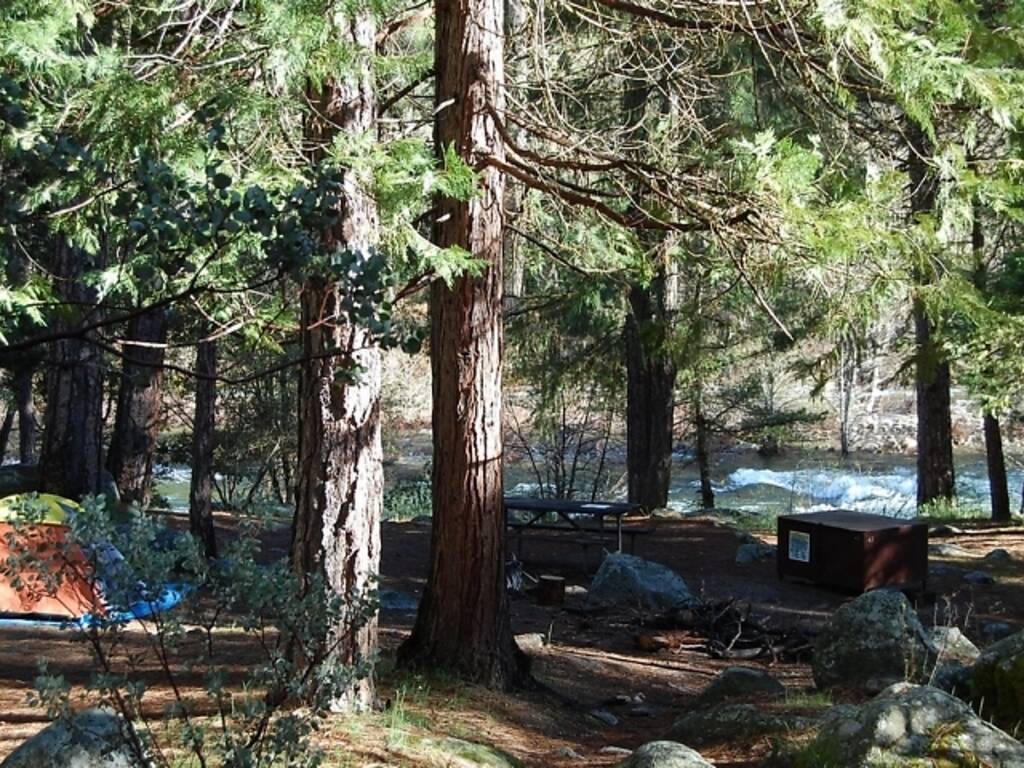 13 Best Campgrounds at Yosemite National Park for Stellar Camping