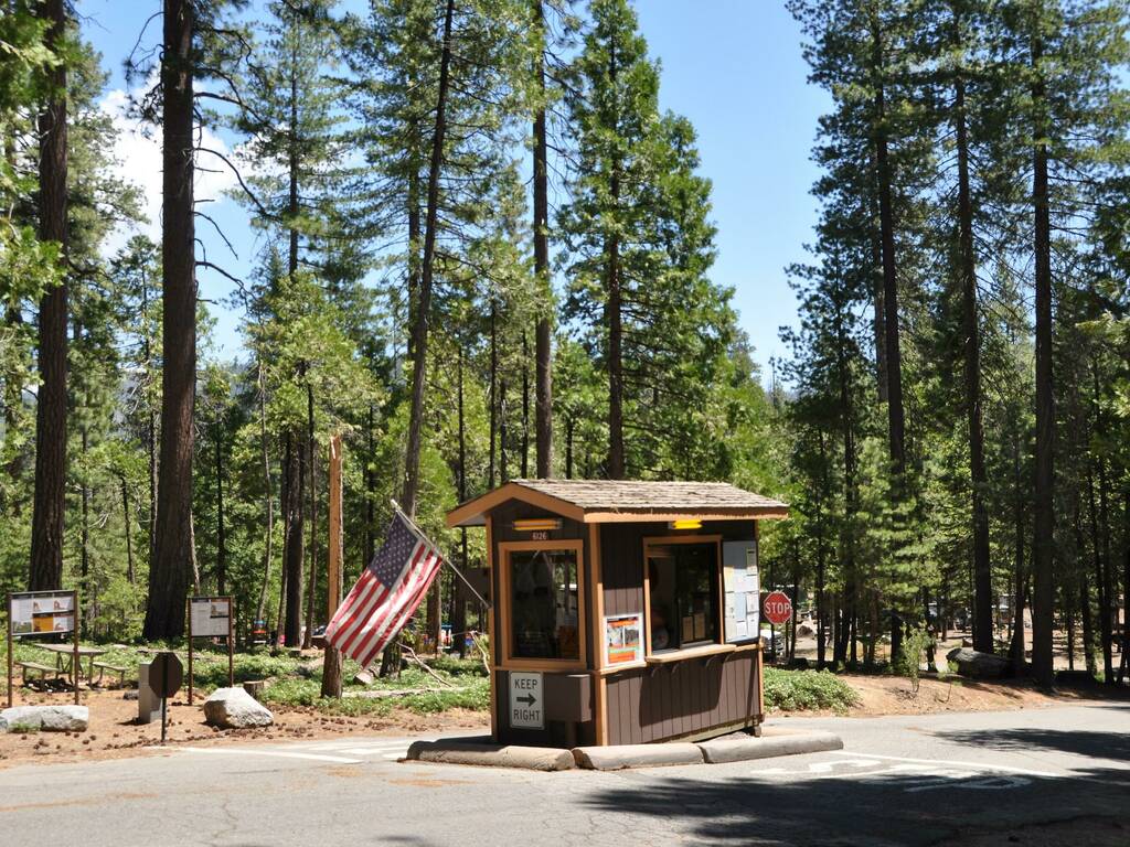 13 Best Campgrounds at Yosemite National Park for Stellar Camping