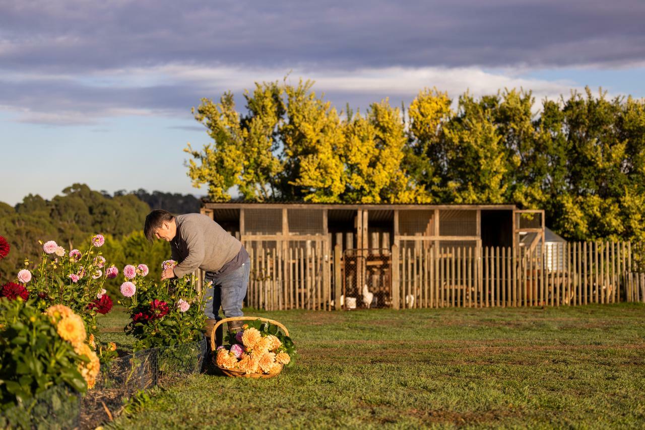 Annie Smithers at the NGV Garden Restaurant | Things to do in Melbourne