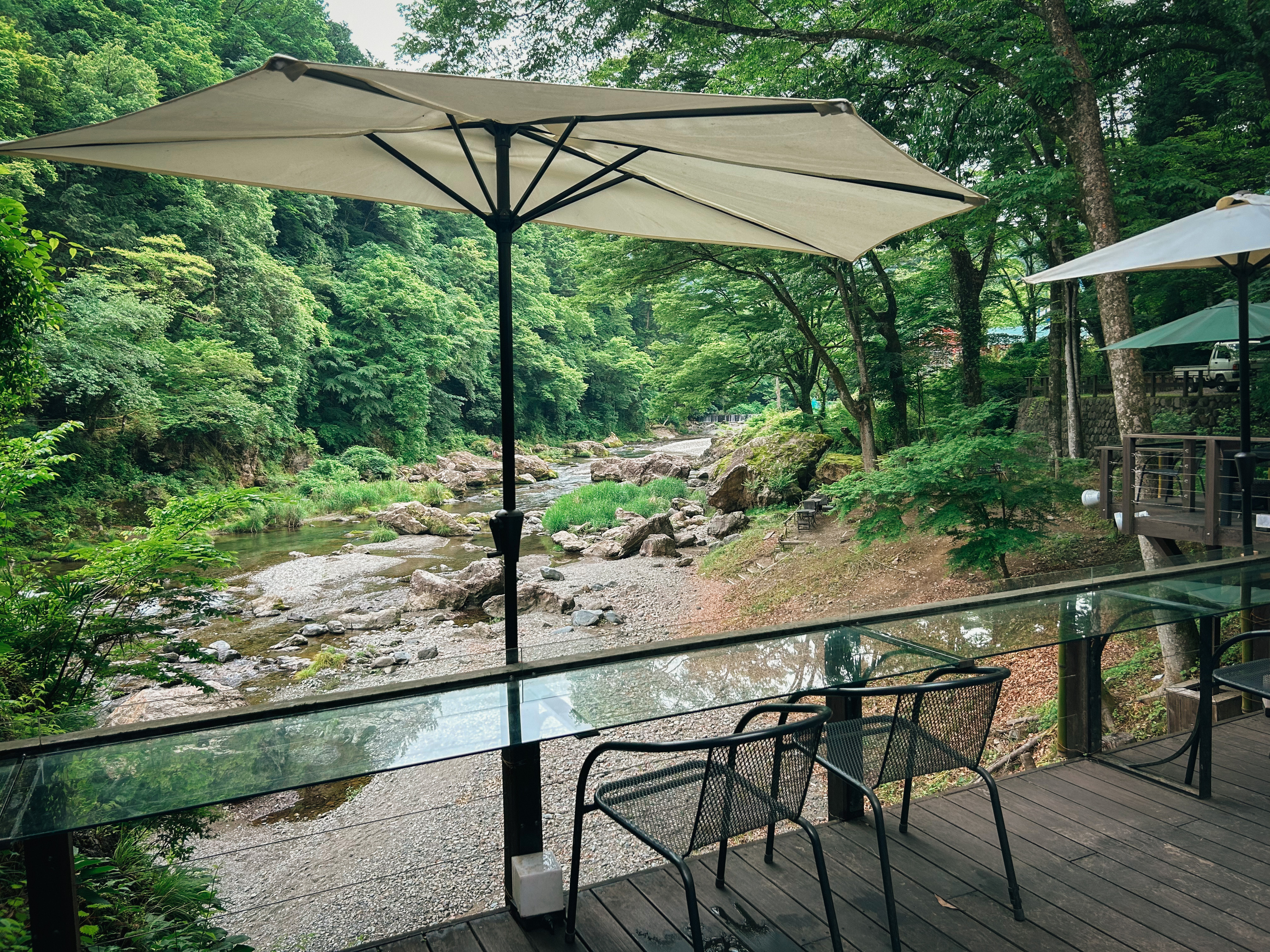 3 relaxing forest cafés you didn't know exist in Tokyo