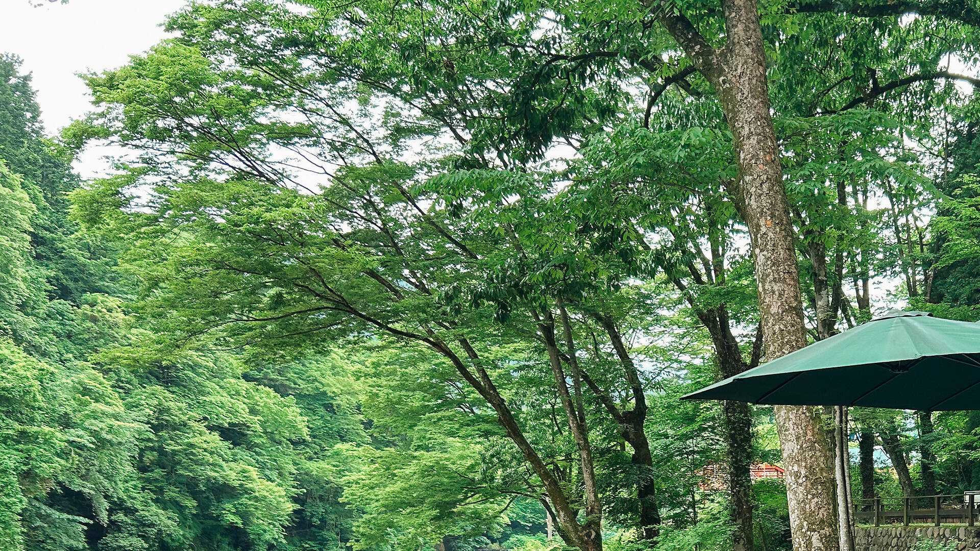 Mizunone at Kurochaya | Restaurants in Tama area, Tokyo