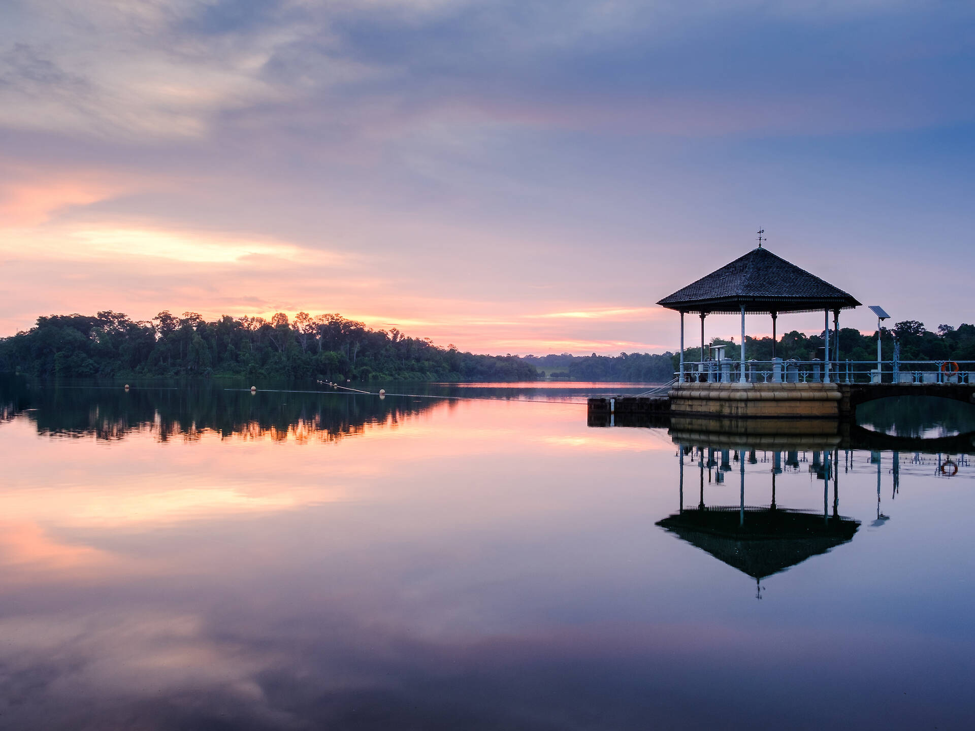 The Best Reservoir Parks In Singapore For Tranquil Waterside Walks