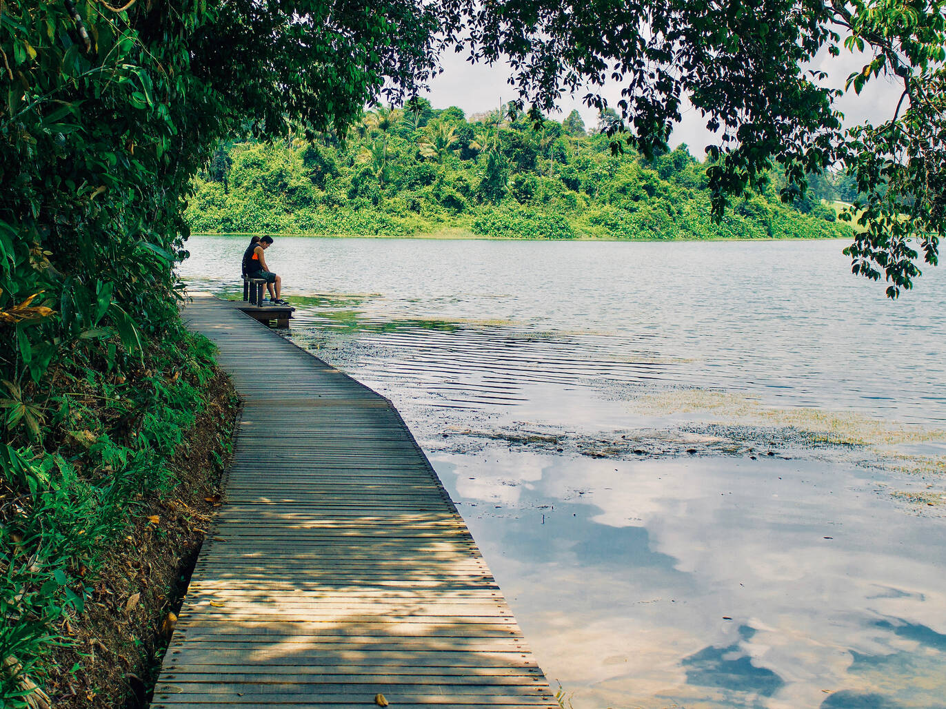 The Best Reservoir Parks In Singapore For Tranquil Waterside Walks