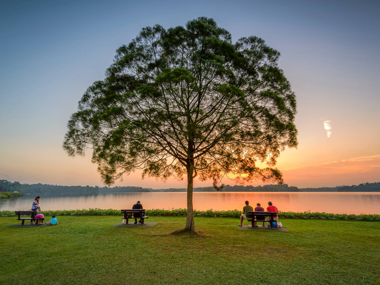 The Best Reservoir Parks In Singapore For Tranquil Waterside Walks