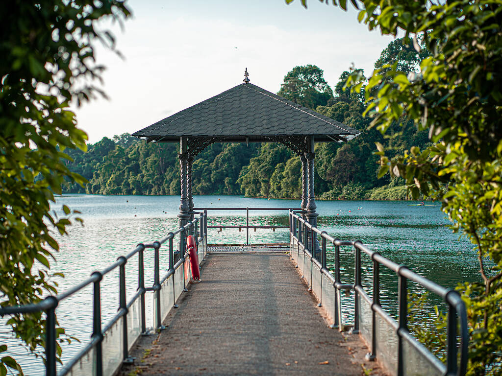 The Best Reservoir Parks In Singapore For Tranquil Waterside Walks