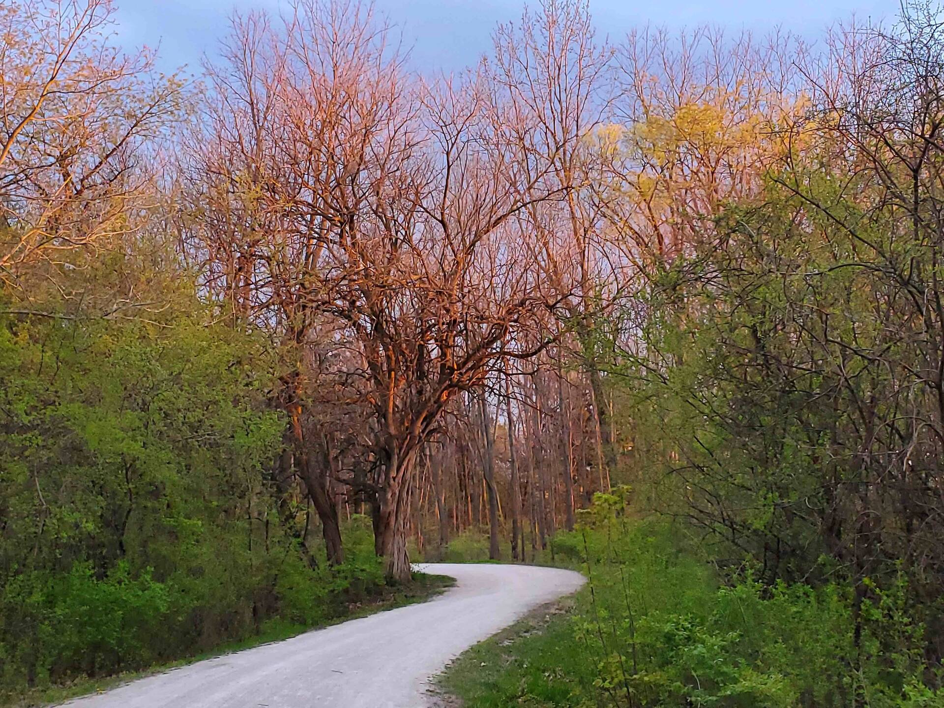 12 Trails for a Long Run in Chicago