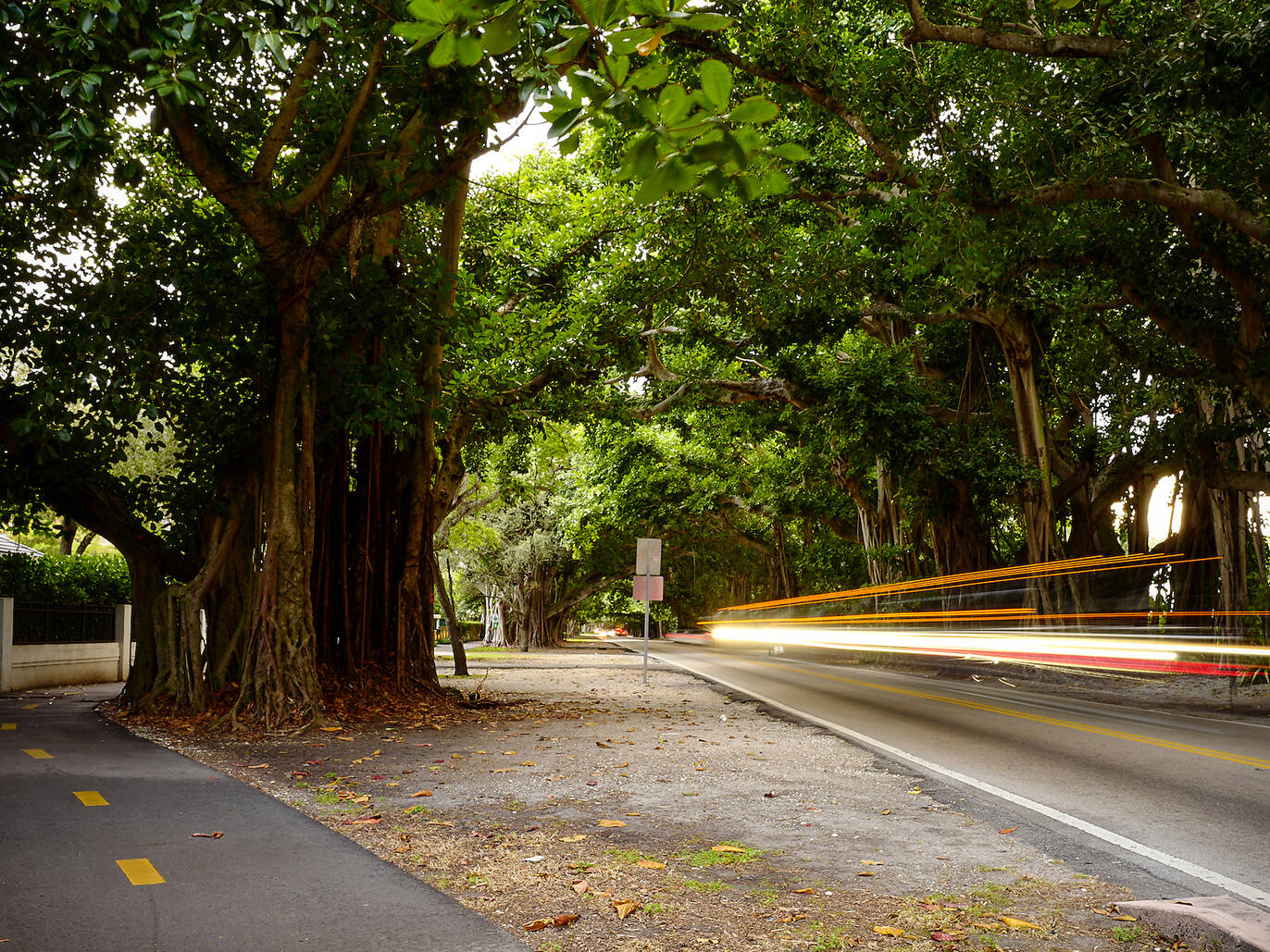 13 Best Scenic Drives around Miami for Stunning Views and Unique Sights
