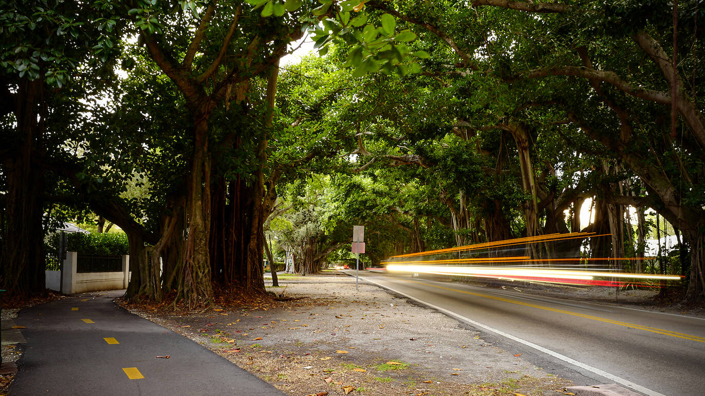 13 Best Scenic Drives around Miami for Stunning Views and Unique Sights