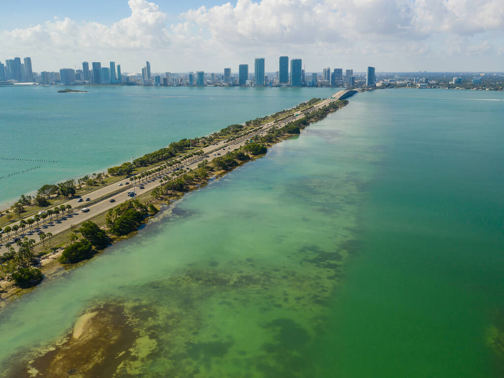 13 Best Scenic Drives around Miami for Stunning Views and Unique Sights