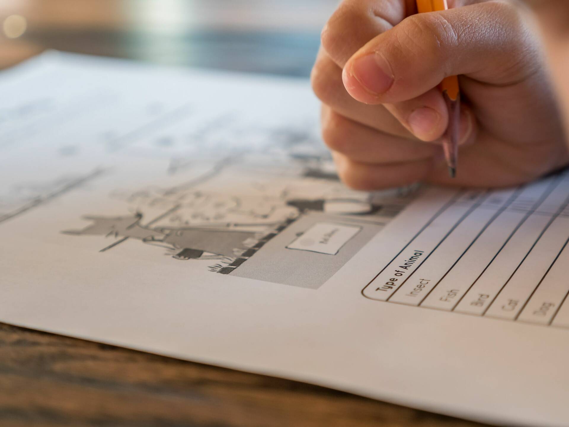 25 Common Singlish Words You Need To Know To Speak Like a Local