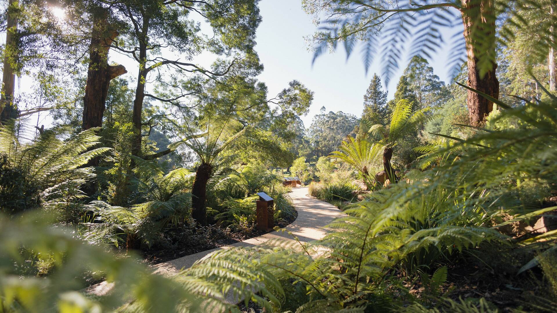 Chelsea Australian Garden has opened in Olinda