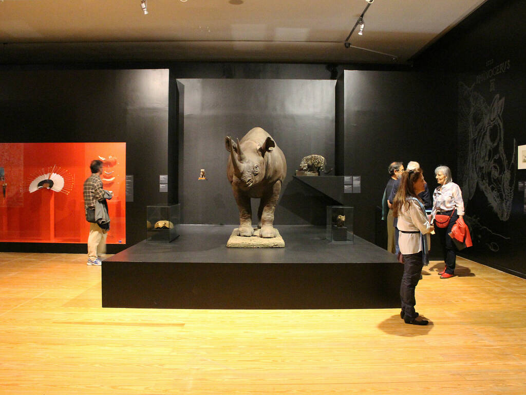 16 Best Museums in Porto, Picked By Local Critics