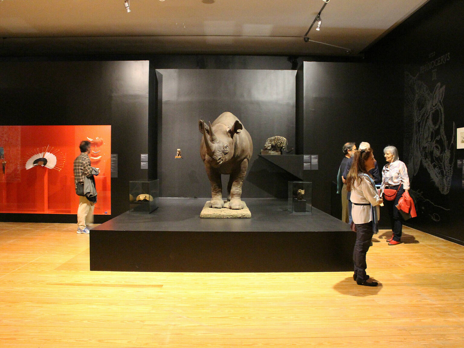 16 Best Museums in Porto, Picked By Local Critics