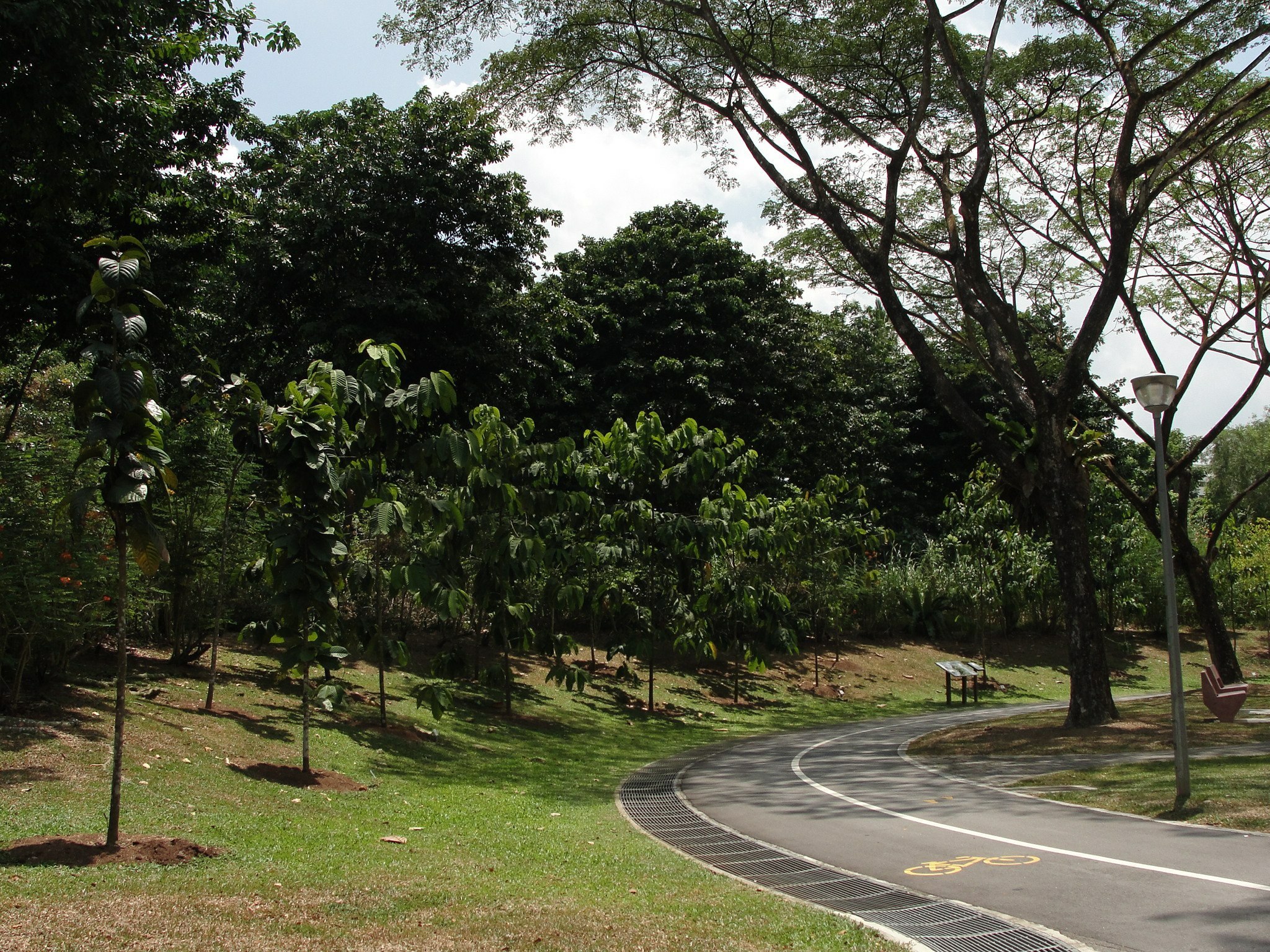 Yishun Park | Things to do in Yishun, Singapore