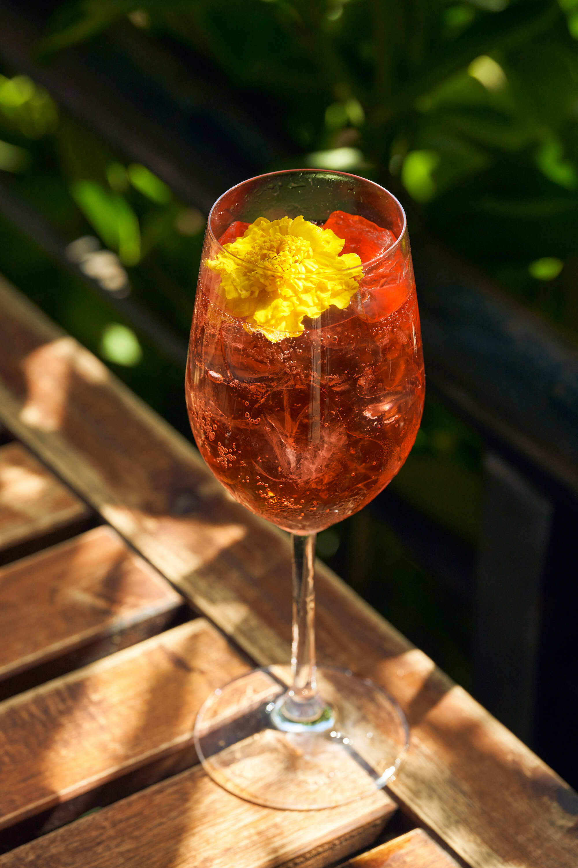 A Definitive Guide to the Best Summer Spritzes in Miami