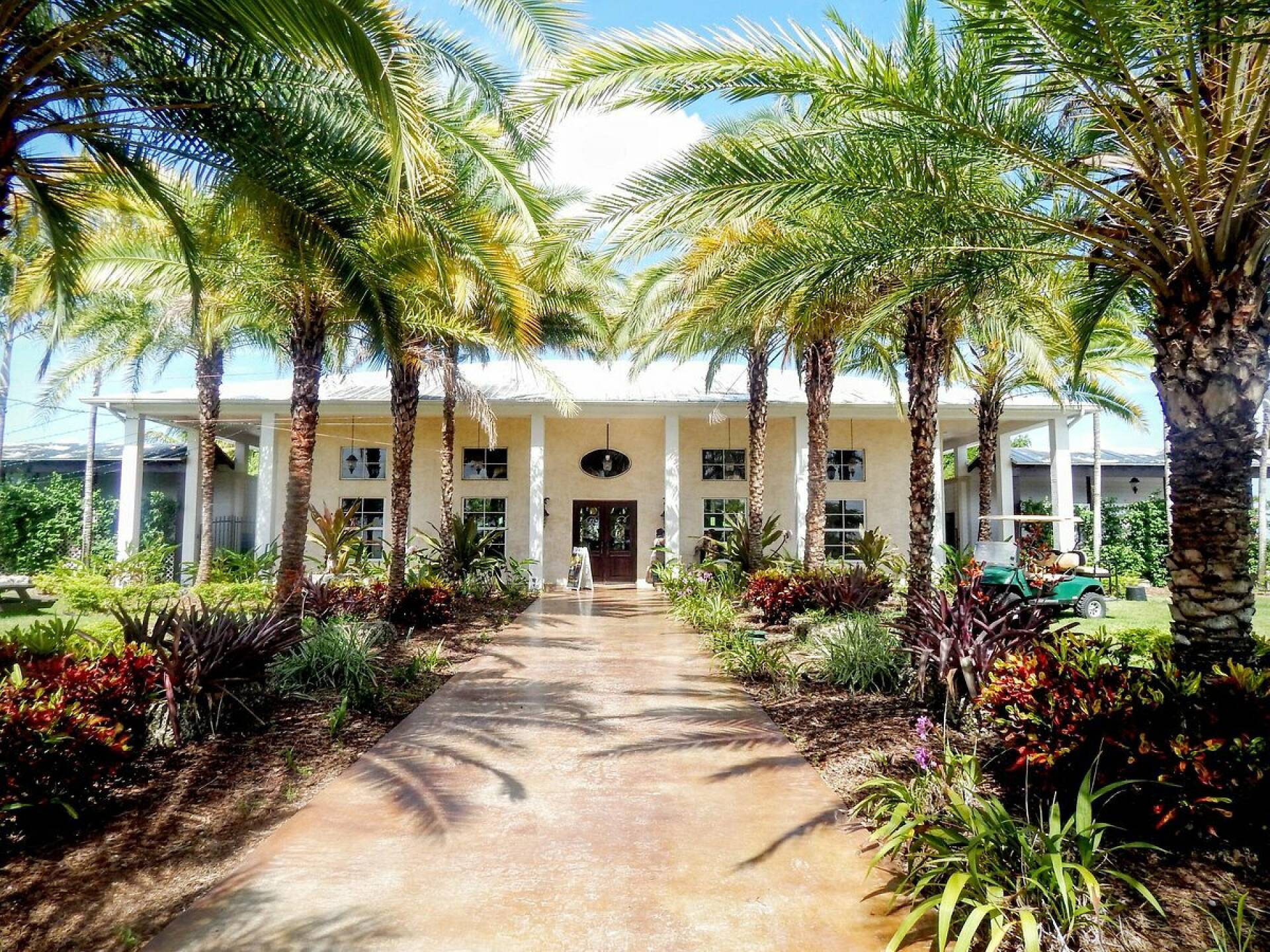 15 Best Southern Wineries for Visits and Tastings