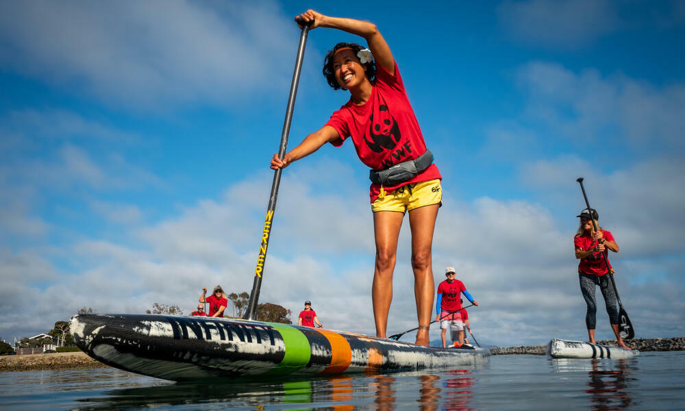 Panda Paddle | Sports and fitness in New York