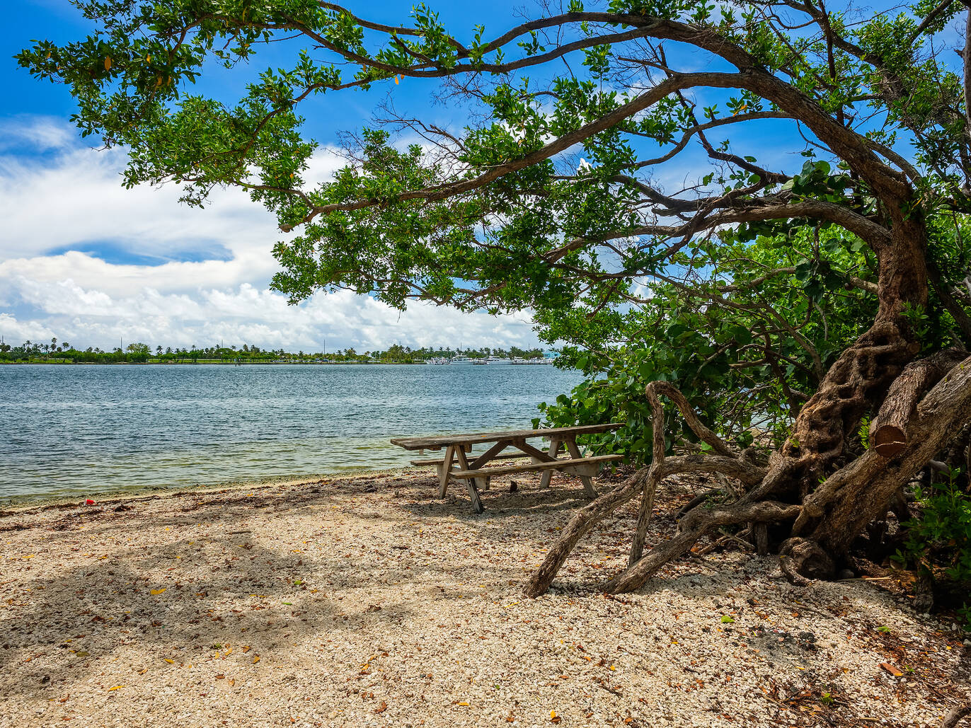 17 Best Parks in Miami for Fresh Air and Outdoor Fun